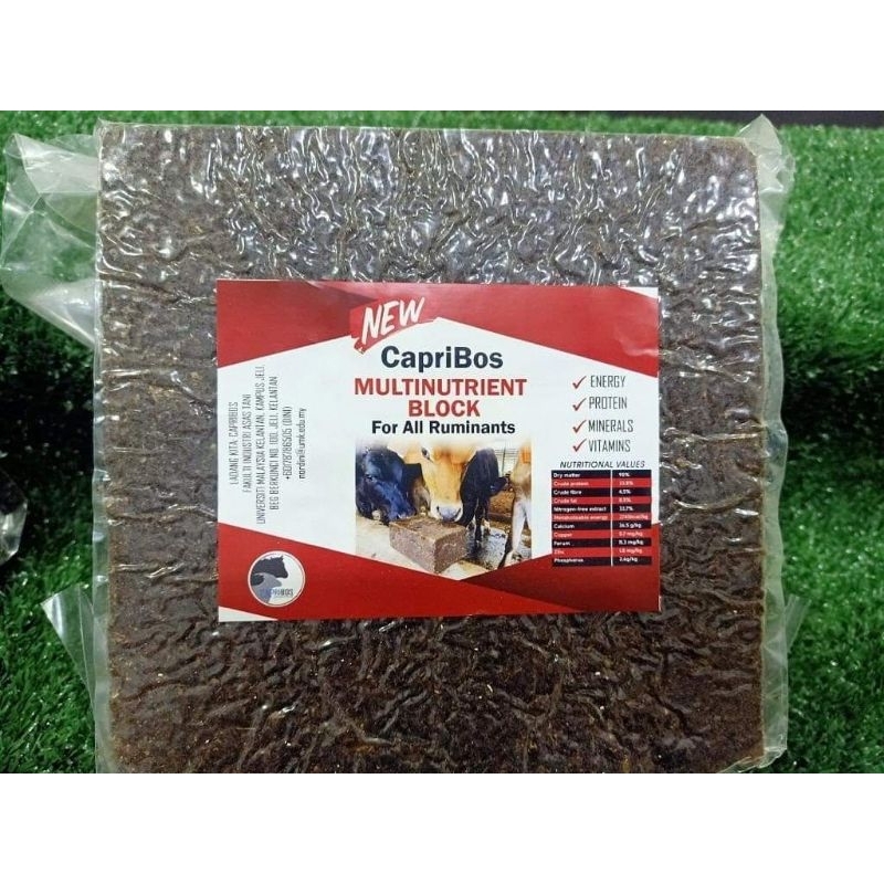 Urea Molasses Multinutrient Block (UMMB) | Shopee Malaysia