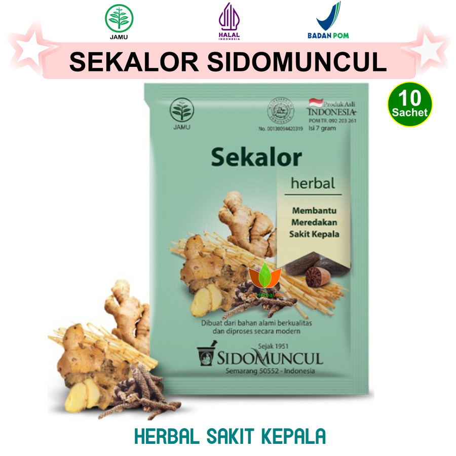 Jamu Serbuk Sidomuncul Sekalor ( 1 Pack Isi 10Sachet ) | Shopee Malaysia