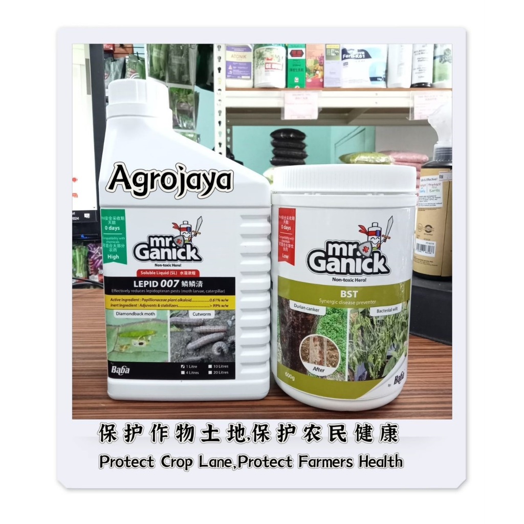 Mr Ganick Lepid 007 Concentrate / Mr Ganick BST 600G (untuk rawat ...