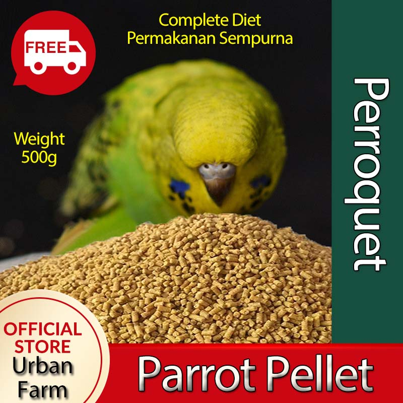 Perroquet Parrot Bird Soft Pellet Food Fruit Green Egg Honey Bee Pollen ...