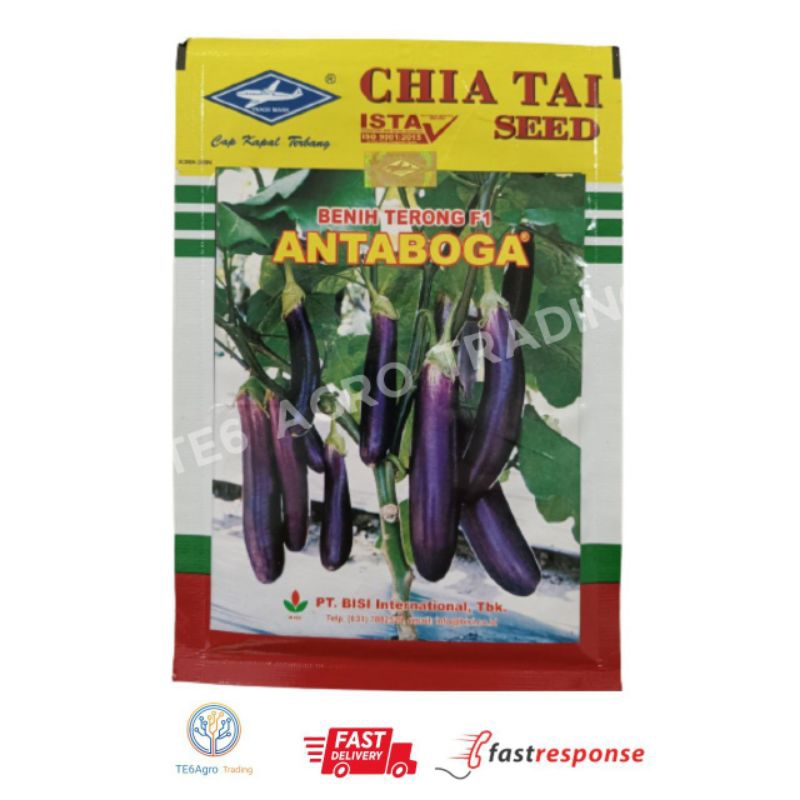 Paket 10g @ 2000 biji/seeds ANTABOGA Biji Benih Terung F1 Ungu Cap ...