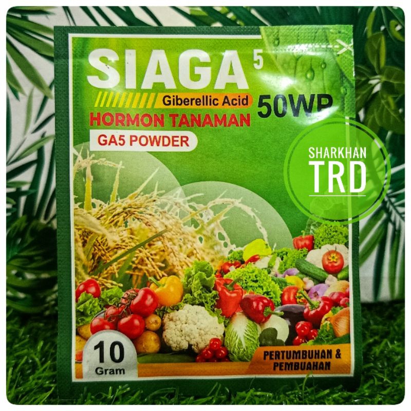Paket 10g SIAGA 5 Gibberellic Acid 50% GA5 Powder Hormon Pertumbuhan Pembungaan & Pembuahan ...