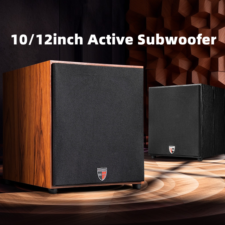 DMSEINC Active Subwoofer Speaker 10 inch High-power Home Theater 12 ...