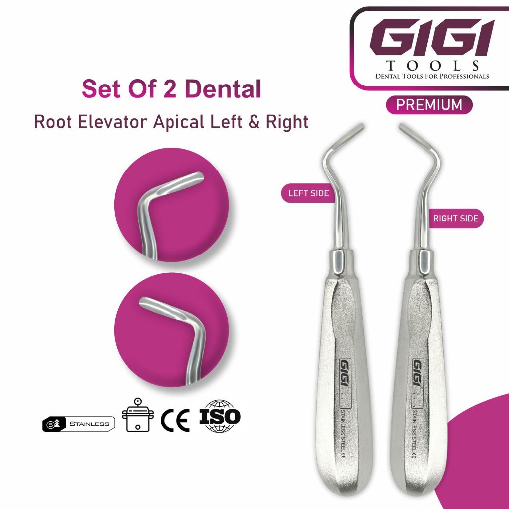 GIGI TOOLS Dental Apical Elevator Regular Left & Right Dental Root ...