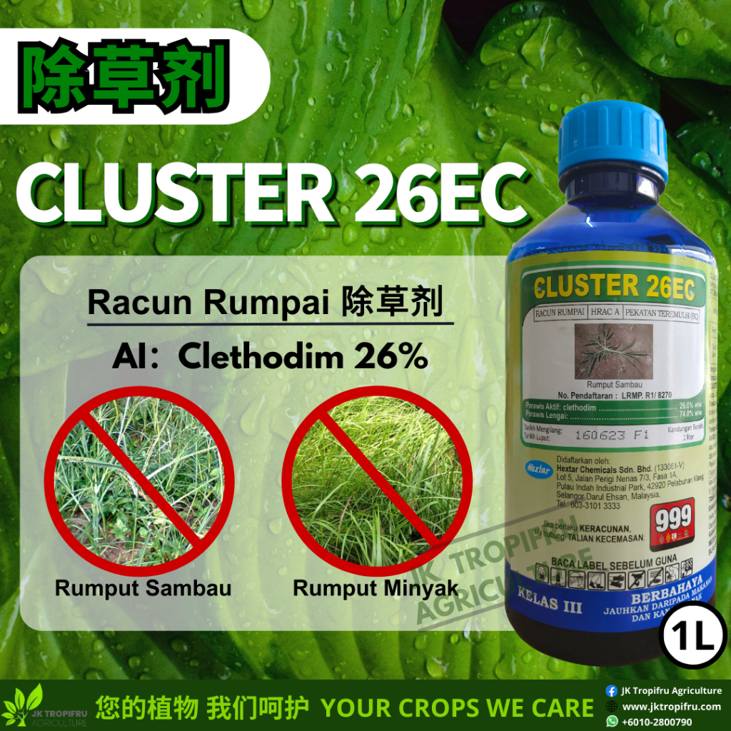Racun Rumput Rumpai】Cluster 26EC (1L)(Clethodim)Herbicide/ 草药/除草剂 ...