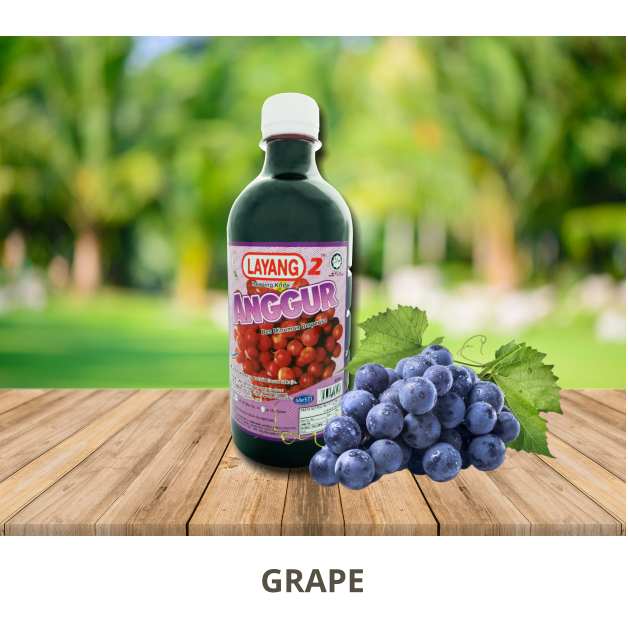 LAYANG2 Bes Minuman Perisa , concentrate layang layang 450ml | Shopee ...