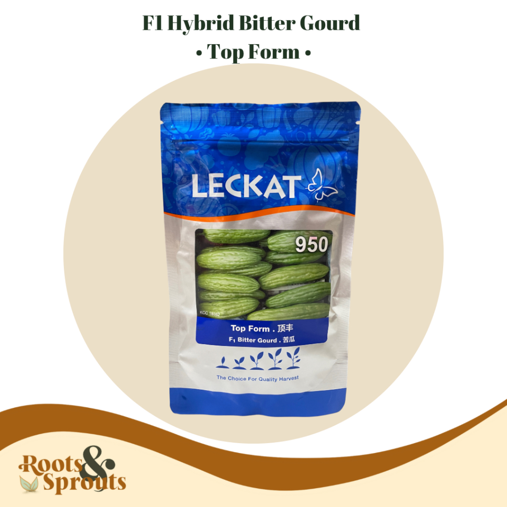 LECKAT F1 Hybrid Bitter Gourd Seeds - 950 Top Form Peria Bitter Gourd ...