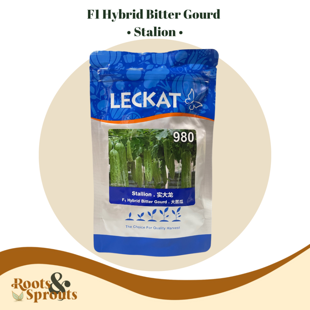 LECKAT F1 Hybrid Bitter Gourd Seeds - 980 Stalion Peria Bitter Gourd ...