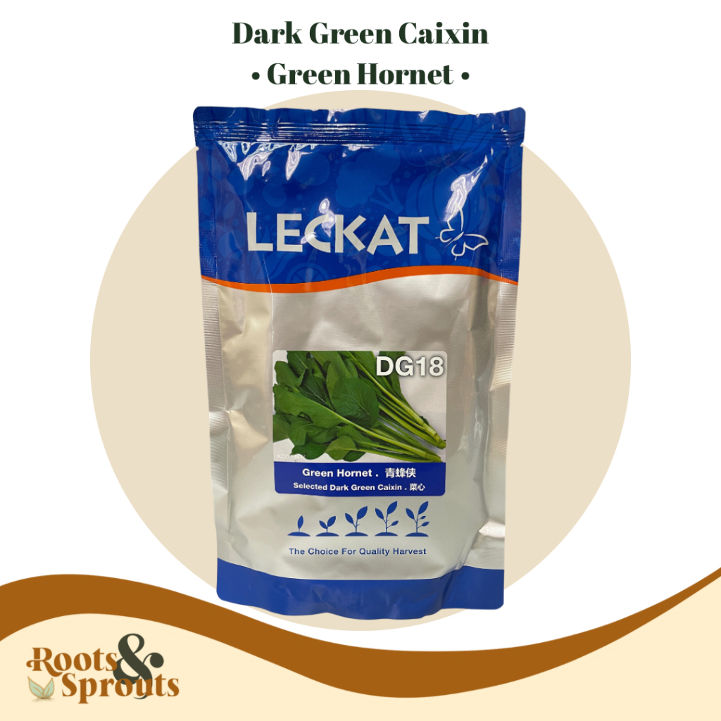 LECKAT Selected Dark Green Caixin Seeds - LECKAT DG18 Green Hornet Sawi ...