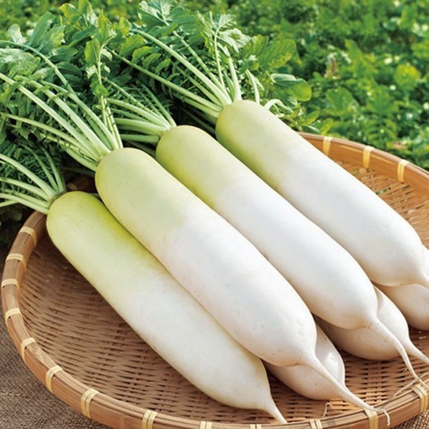 Premium Seeds - Biji Benih Lobak Putih white radish lowland | Shopee ...