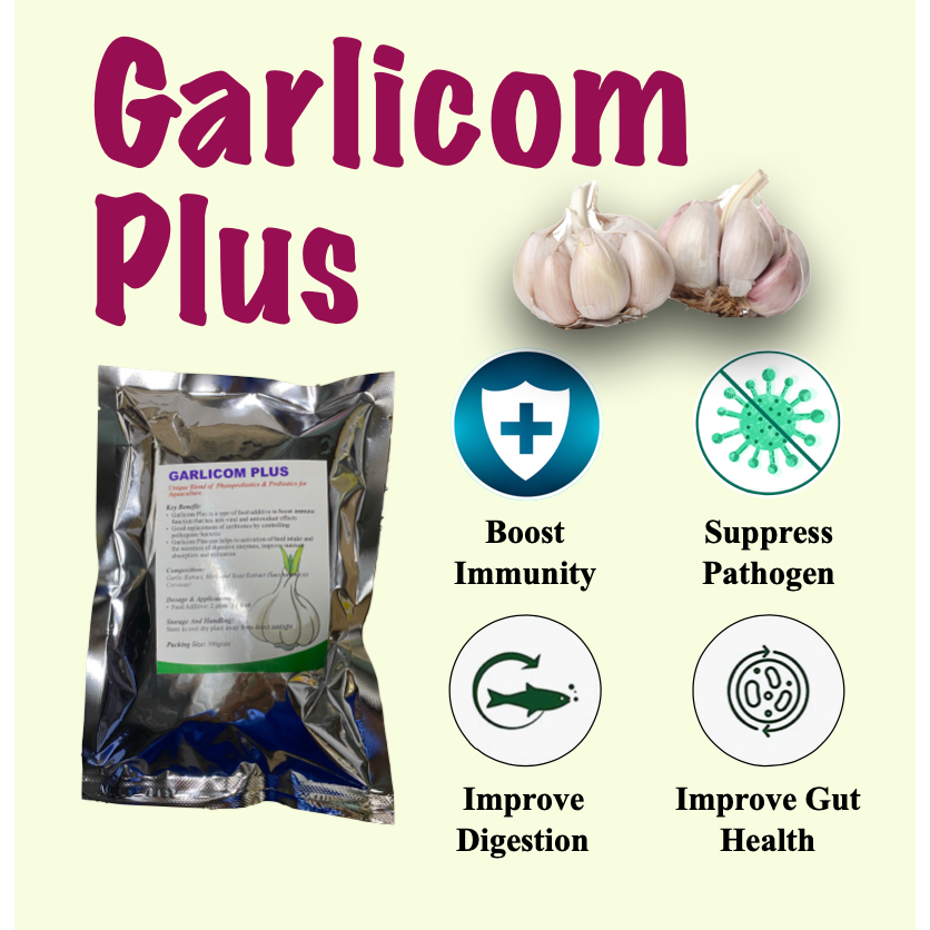 Garlicom Plus Garlic Powder Herb and Yeast Extract for Fish Shrimp ...