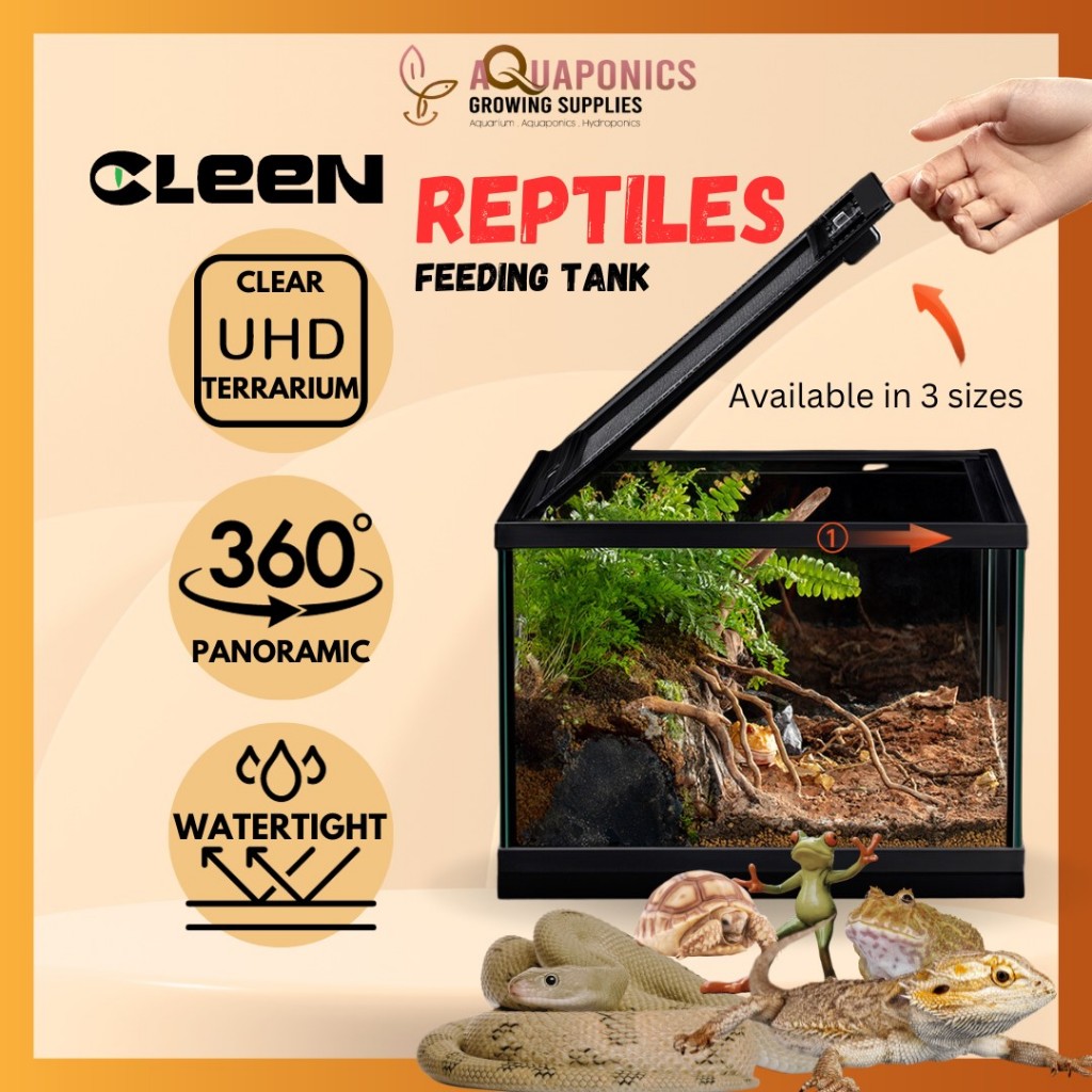 CLEEN Reptile Clear Glass Terrarium Reptile Tank Snake Iguana Lizard ...