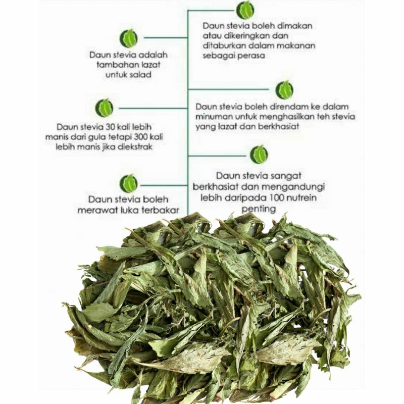 Daun Stevia Kering 50 Gram (Pemanis Semulajadi) Untuk kesihatan/ Dried Stevia Leaves (Natural ...