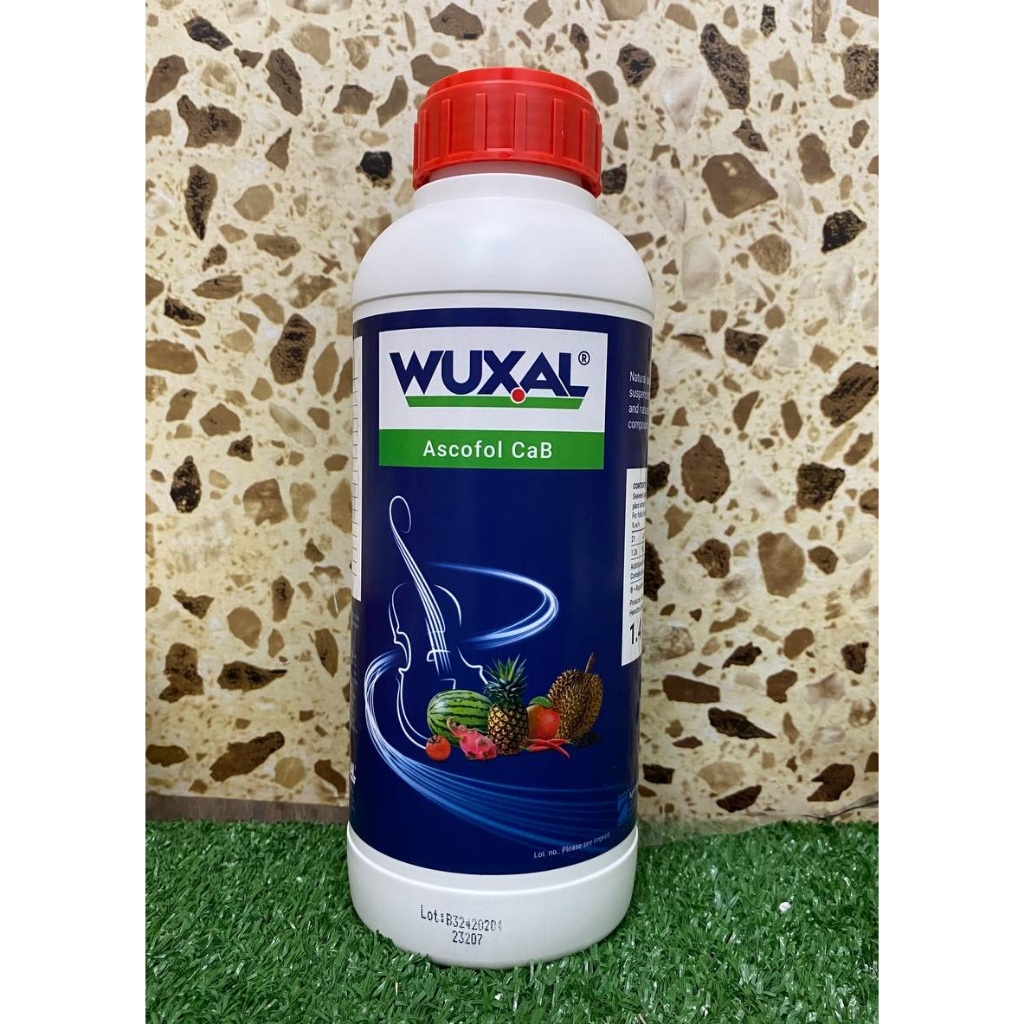 Foliar WUXAL ASCOFOL CaB (Repack 500ml/1 Liter) | Shopee Malaysia