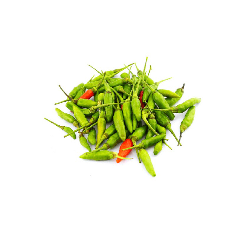 Cili Api Kampung Tahan panas | Shopee Malaysia