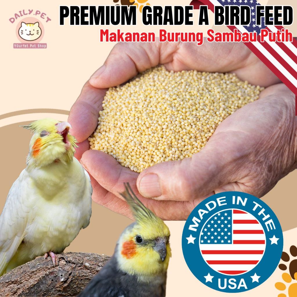 Premium Makanan Burung Baji Bird Food White Millet Seed Sekoi Sambau ...