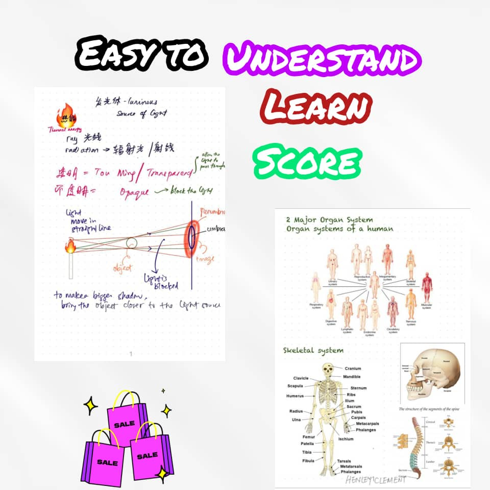 ⭐[IGCSE NOTES] Year 8 Science Notes and Questions for IGCSE Students ...