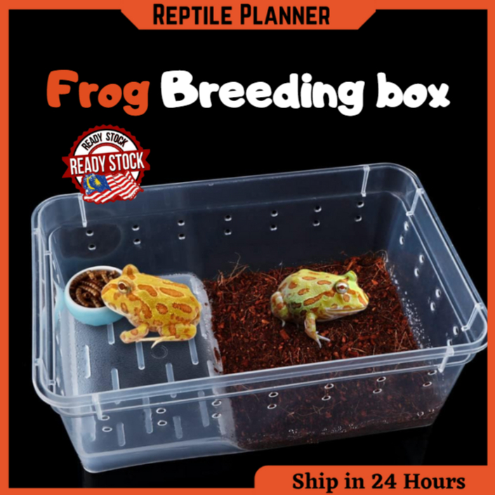 Frog Breeding Box Horned Frog Plastic Portable Feeding Container for ...