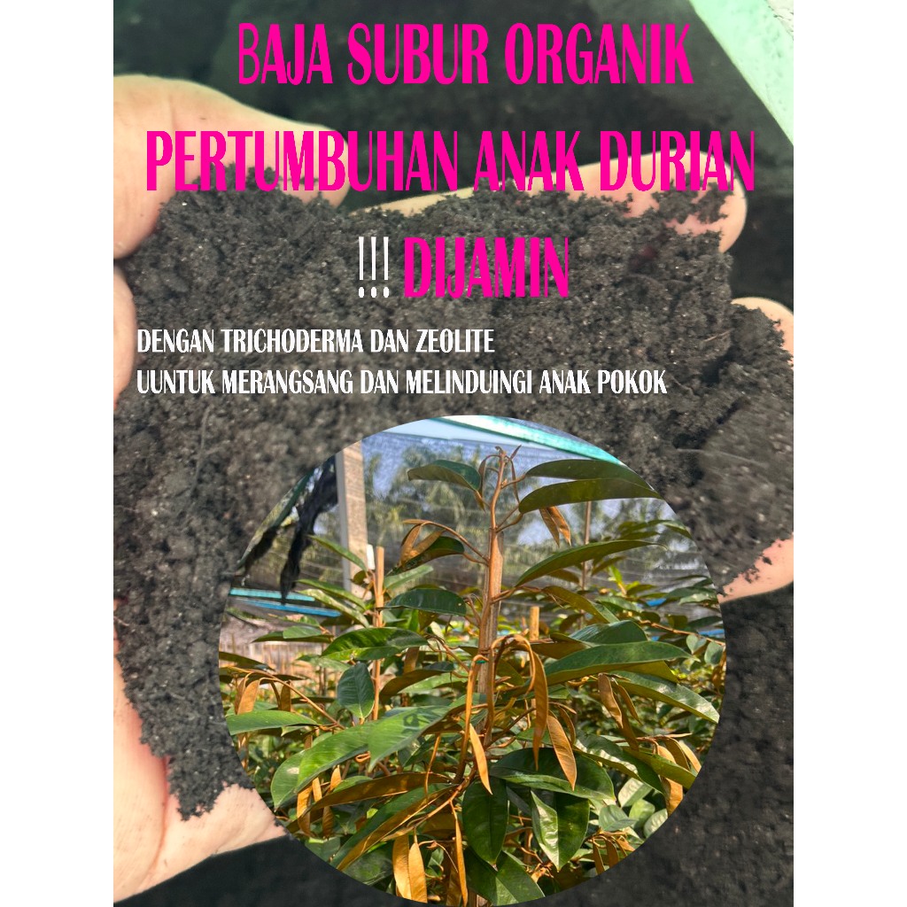 BAJA SUBUR ORGANIK PEMBESARAN ANAK POKOK DURIAN DAN BUAHAN | Shopee ...