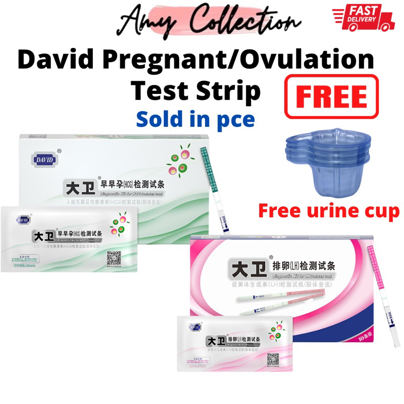 1pce RM1-David Pregnant Test Strip大卫早孕试纸Test Strip Ujian Kehamilan ...