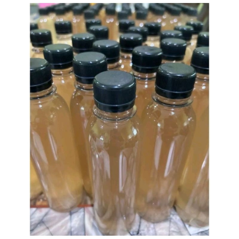 BORONG! AIR REBUSAN RUMPUT PENDUL 👇Rumput Helikopter Kucing khas ...