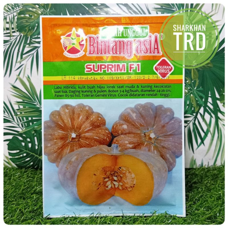 Paket 20g (200 Biji)/ 2.5g SUPRIM F1 Bintang Asia Biji Benih Labu ...