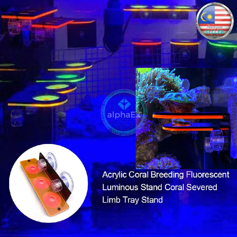 Fluorescent Acrylic Coral Frag Rack Coral Rack Coral Frag Bracket Coral ...