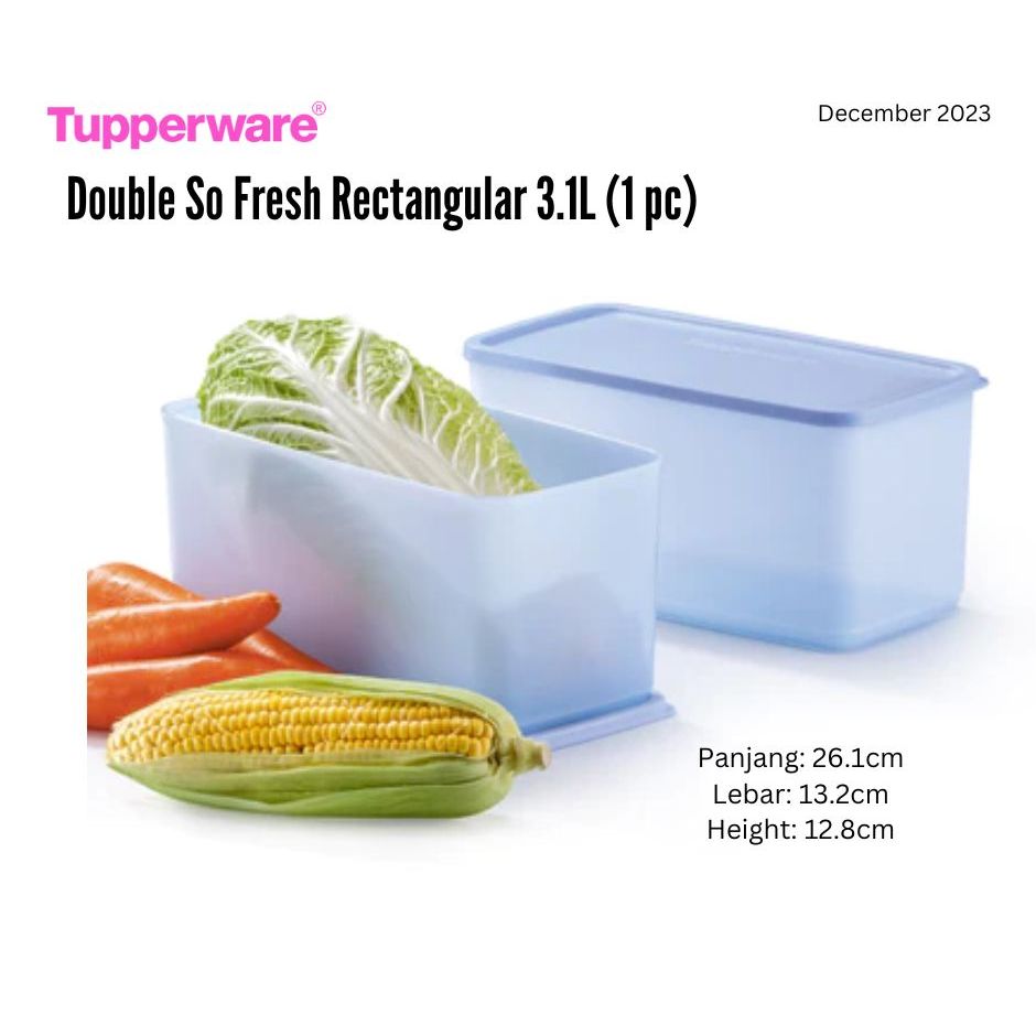 Tupperware Double So Fresh Rectangular Big Box O Freshness 3.1L Food Container Bekas Peti ...