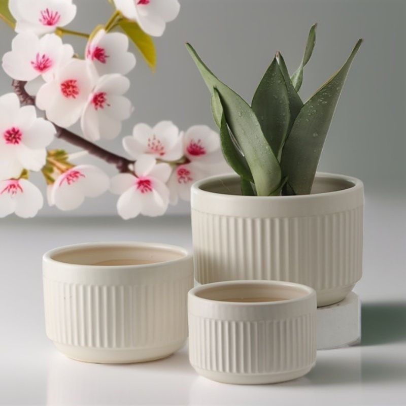 Pasu Bunga Seramik 🌳 Ceramic Flower Pot / Flower Vase / Pasu Bulat 陶瓷花盆 ...