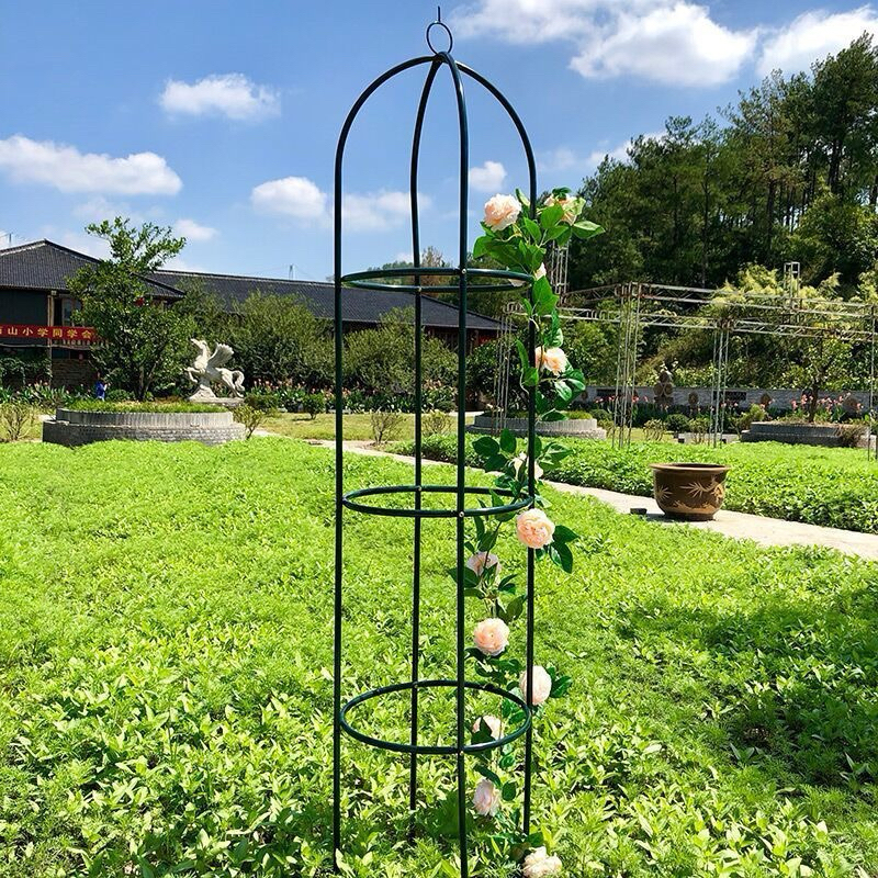 Wrought iron climbing pergola clematis column garden Round climbing ...