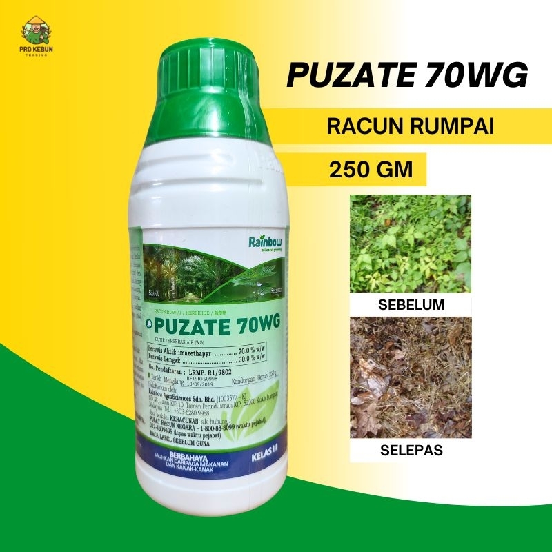 Puzate 70WG Herbicide Racun Rumput Dalam Kebun Racun Rumput Kelapa ...