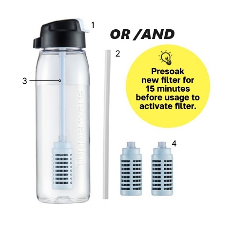 Tupperware Pure & Go Water Filter Bottle (1) 750ml H2go with/without ...