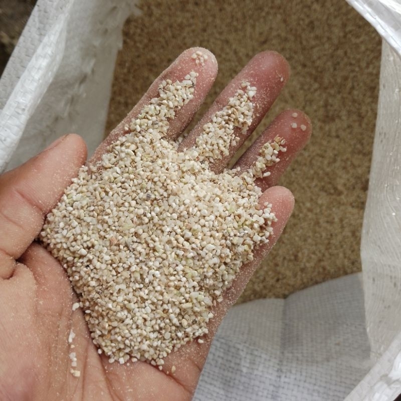 Temukut putih / makanan ayam 1kg | Shopee Malaysia