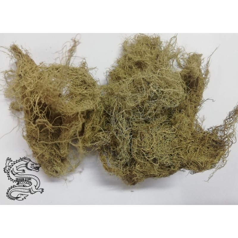Akar Angin / TahiAngin / Rumput Angin - 100gram | Shopee Malaysia