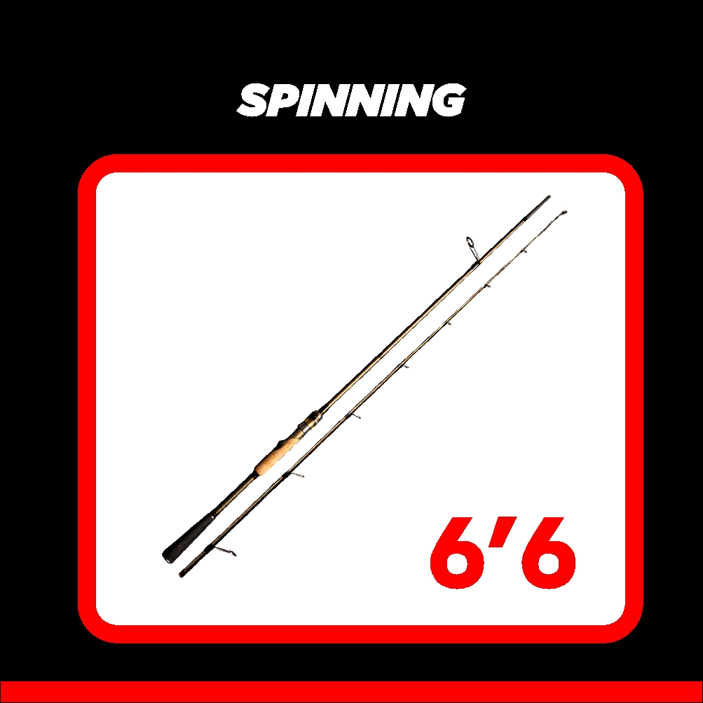 EXP ASCEND ROD 2 PCS Fishing Rod Medium Light Weight Bait Casting BC ...