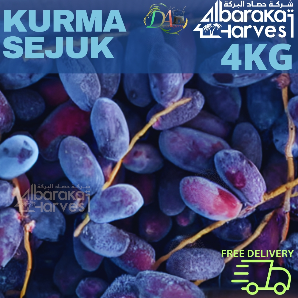 FREE SHIPPING KURMA SEJUK BEKU FROZEN DATES SUPER JUMBO SIZE 4kg ...