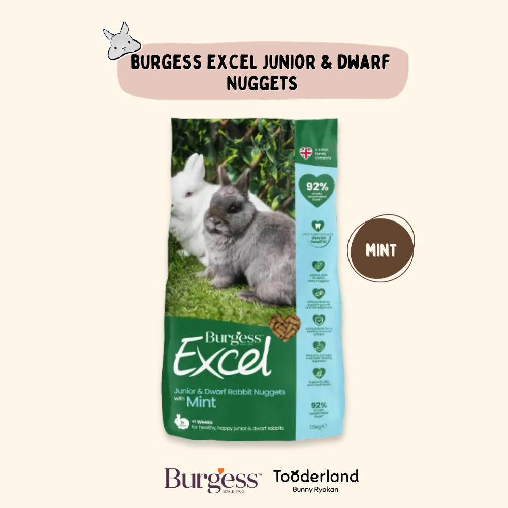 Burgess Excel Junior & Dwarf Rabbit Nuggets Pellets (Mint) | Shopee ...