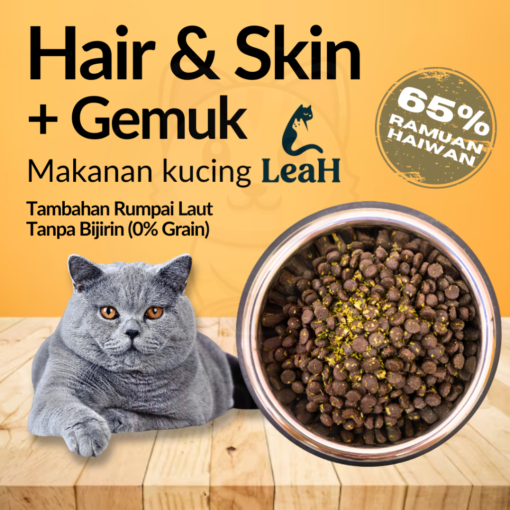 LeaH 34 Hair and Skin Gemuk 1.1kg Grain Free Premium Dry Cat Food Picky Cats High Protein ...