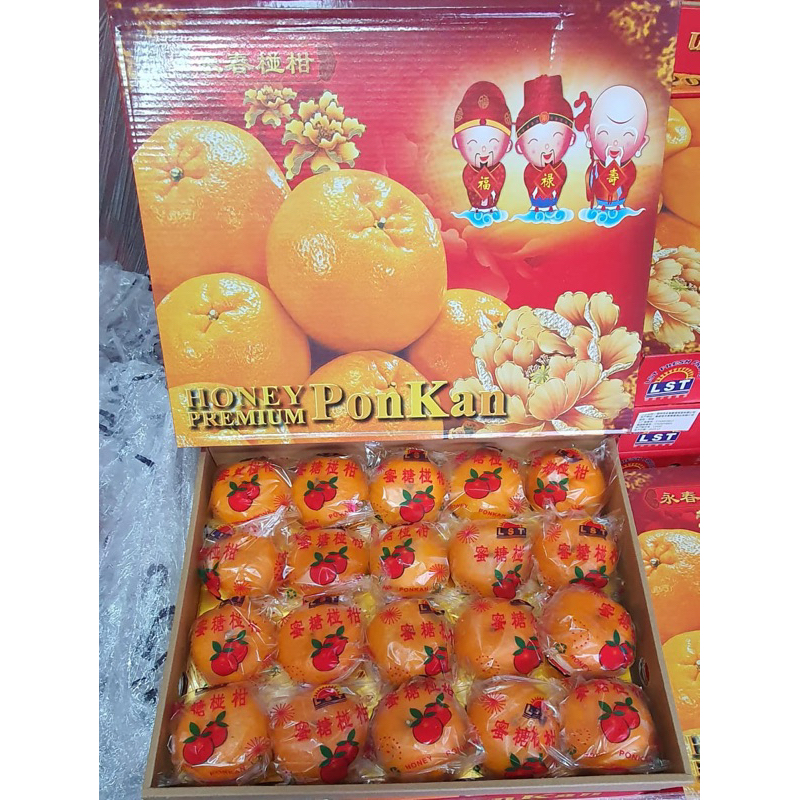 China Honey Ponkam Mandarin Orange Gift Box 中国礼盒蜜糖椪柑 | Shopee Malaysia