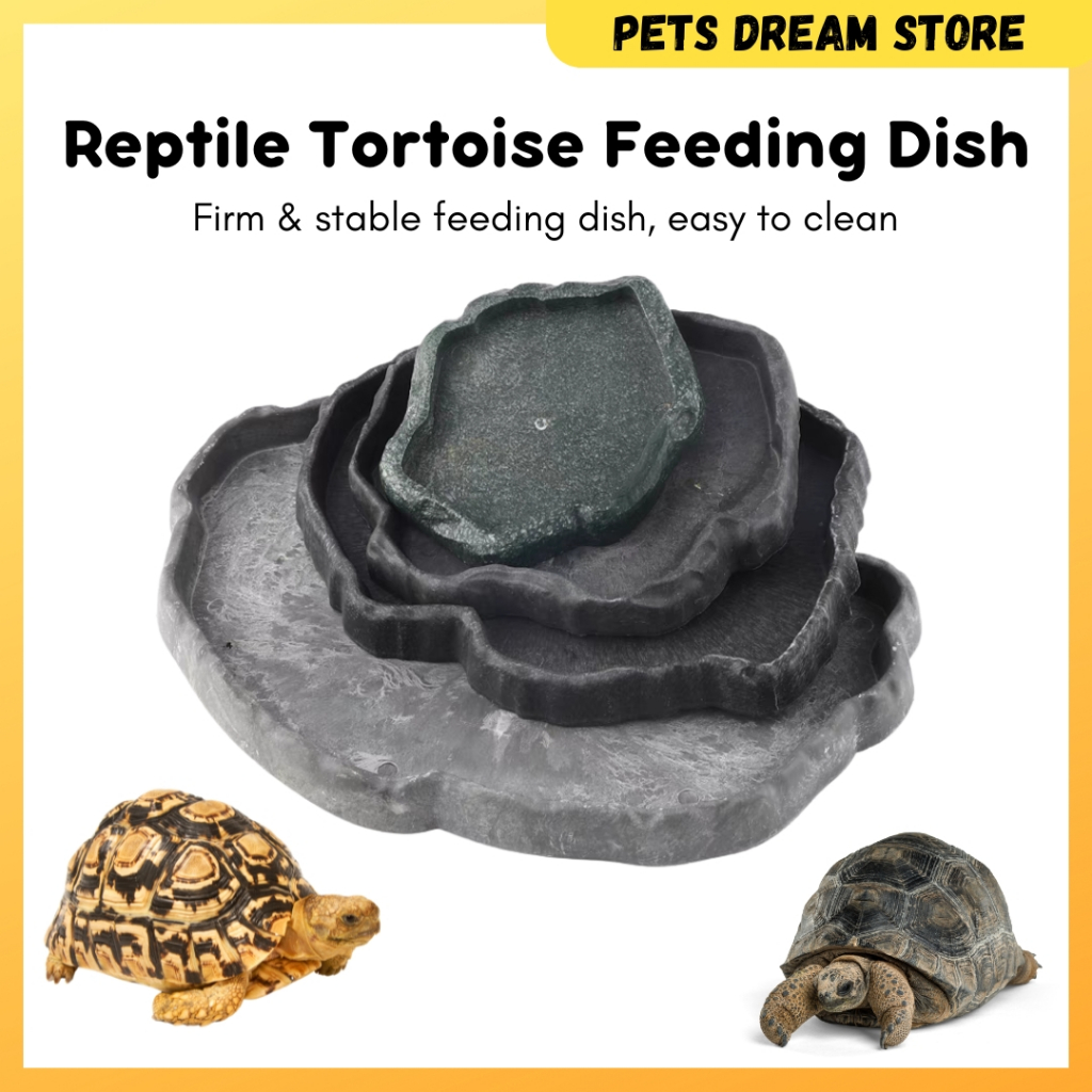 Reptile Feeding dish S/M/L/XL tortoise food bowl heavy design tortoise ...