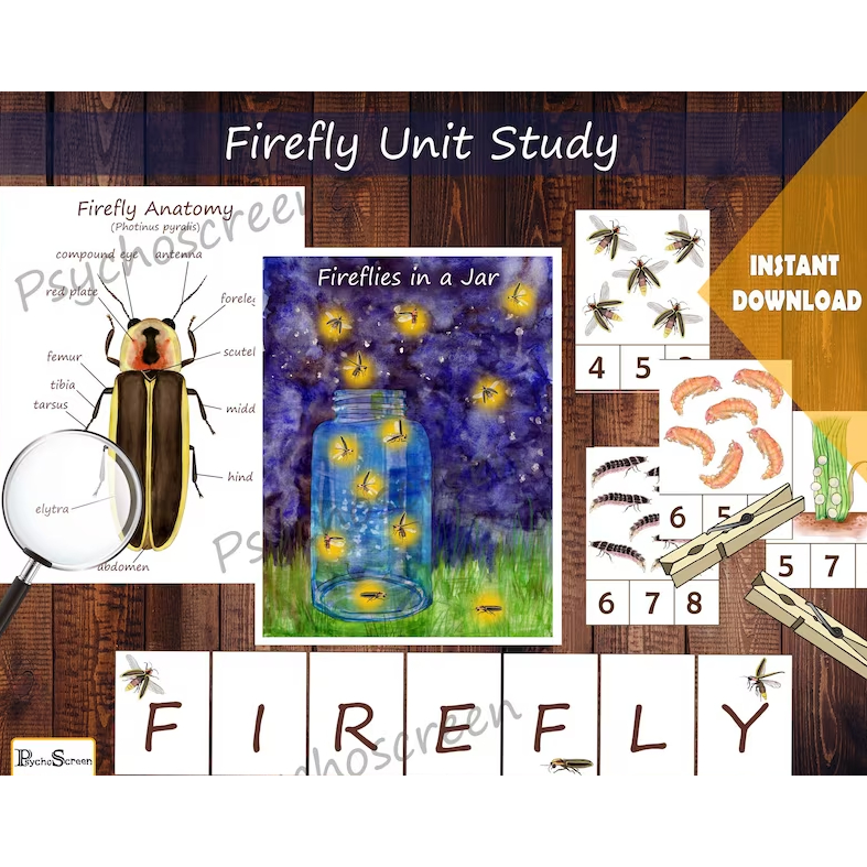 PDF] Firefly Unit Study Home Learning Kids Printable Montessori Toddler ...