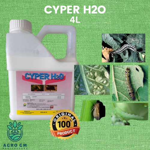 4L CYPER H2O Racun Serangga Kumbang Tanduk, Ulat Pengorek Buah | Shopee ...