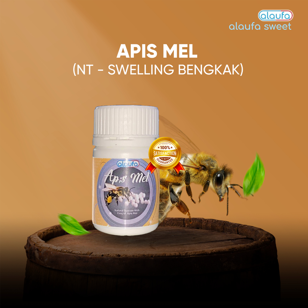 ALAUFA SWEET APIS MEL UNTUK BENGKAK GEGATA , SEMBAB BETIS, SENGATAN ...