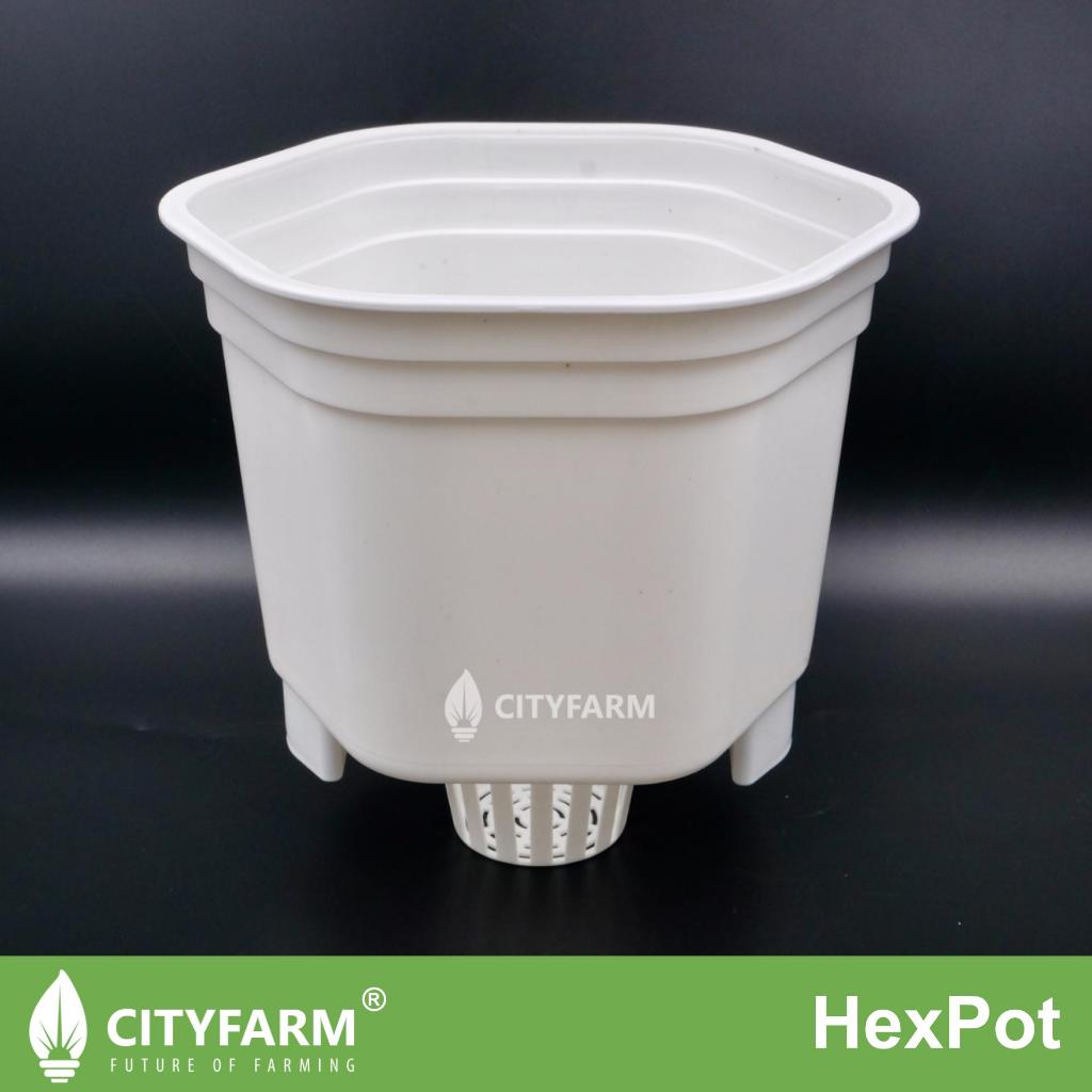 HexaPot | HyGrowPot Alternative Nutripot - Large Pot for 2" x 4" NFT ...