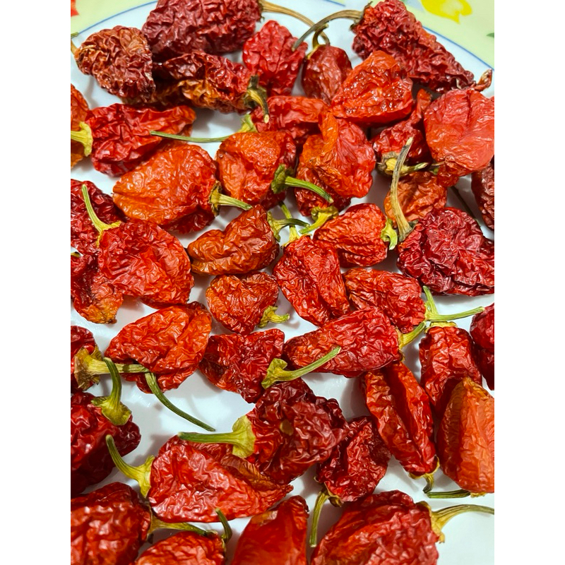Dried ghost chili peppers whole 魔鬼辣椒干（粒）20g | Shopee Malaysia