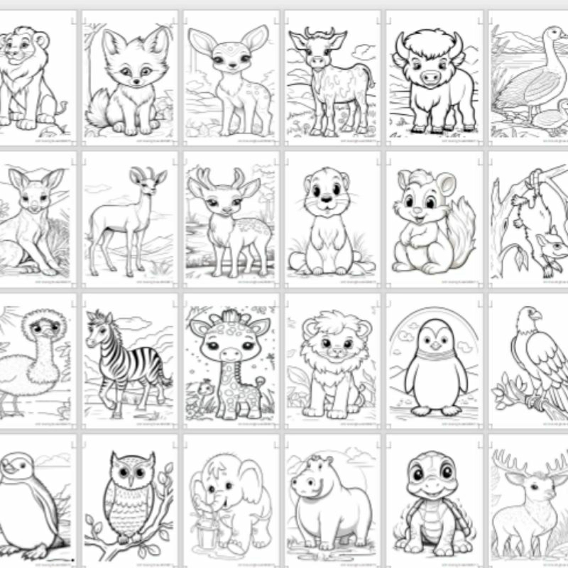 (50/100pcs) ANIMALs Colouring Book For Kids 50/100 Pictures / Buku ...