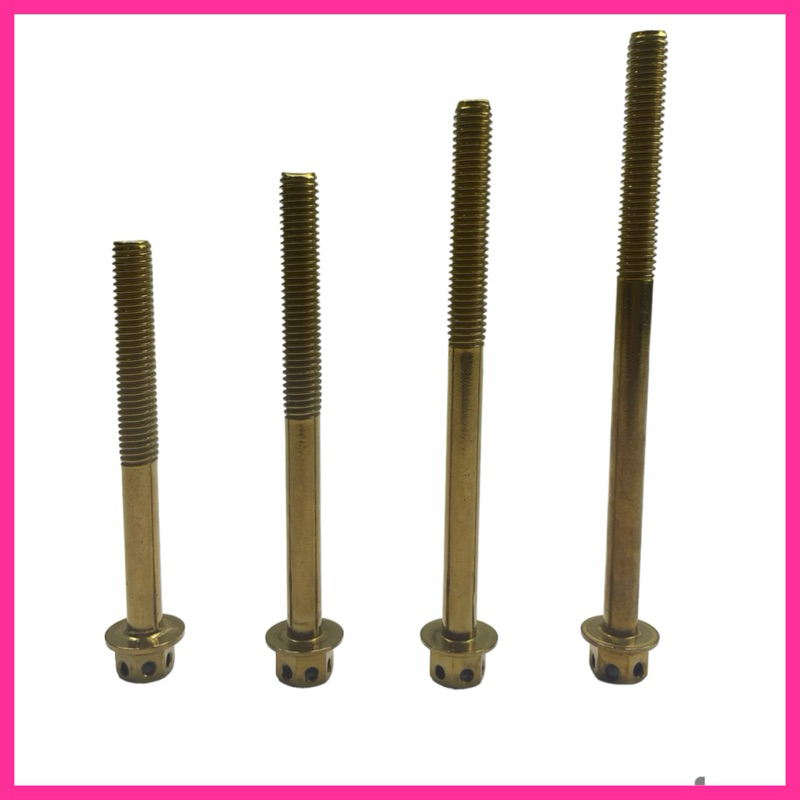 (1Biji)SKRU PANJANG M6 SAIZ 10 thread 6mm | Shopee Malaysia
