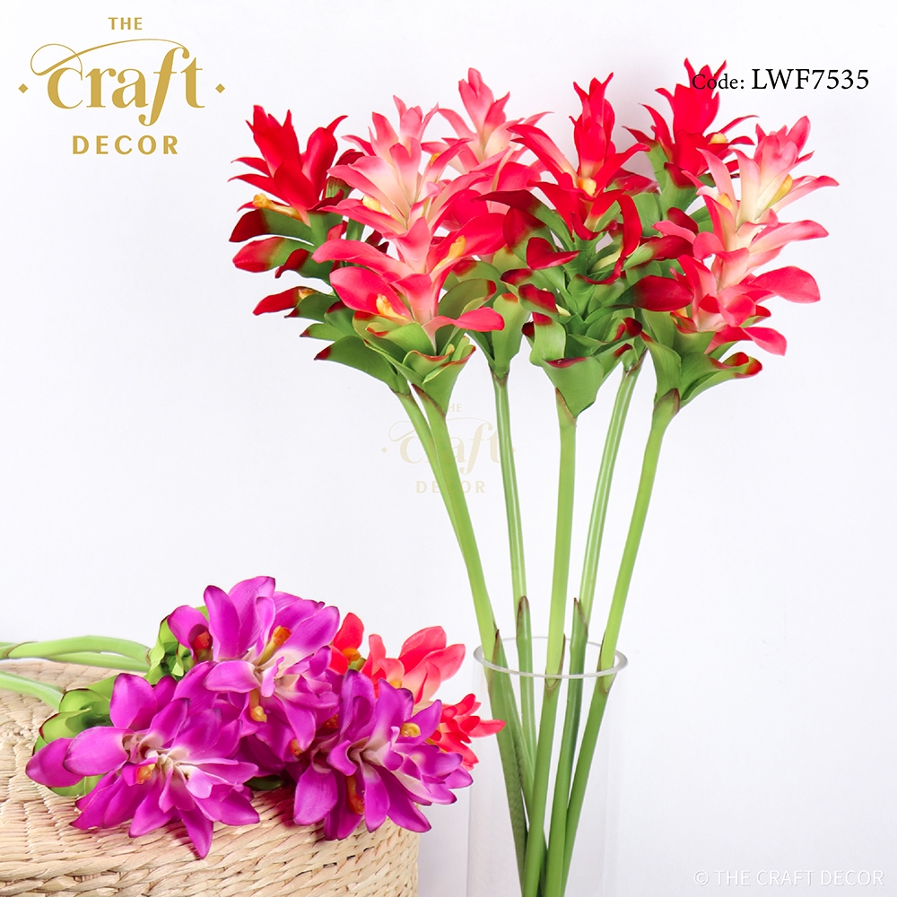The Craft Decor Ginger Spray | Ginger Flower | Bunga Kantan Hiasan 1 ...