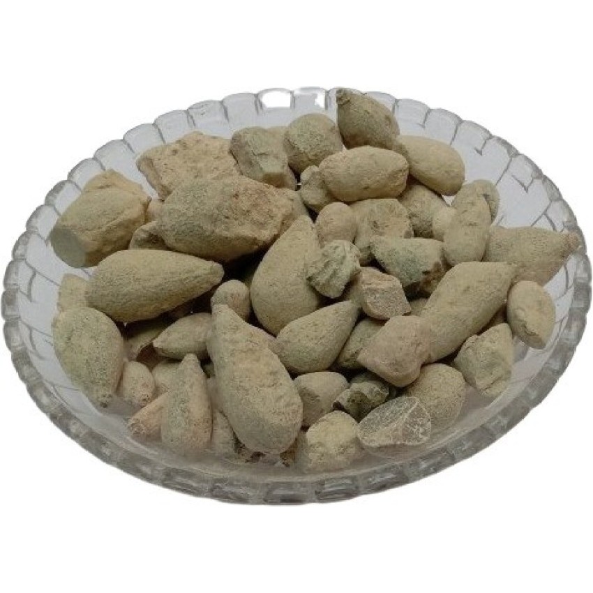 ber patthar fossilized stones Hajrul Yahood mineral (fossil encrinite ...