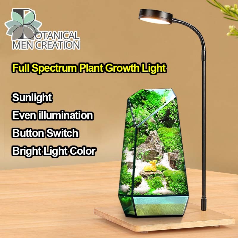 Plant light Lampstand light- Bamboo base for Terrarium / Aquarium ...